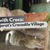 Malataj- The Indian Village Where Crocodiles Are Part of Daily Life!
