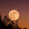 October 2025 Supermoon: When and How to See the Harvest Moon